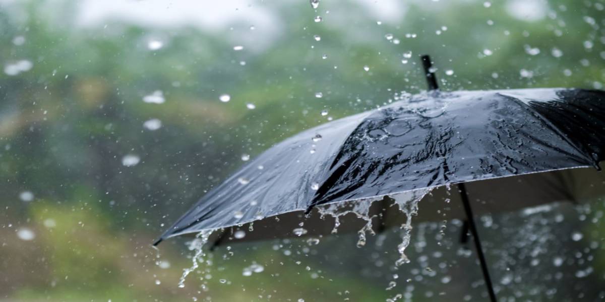 New Low Pressure Forms Over Bay of Bengal, Rain Likely in Several ...