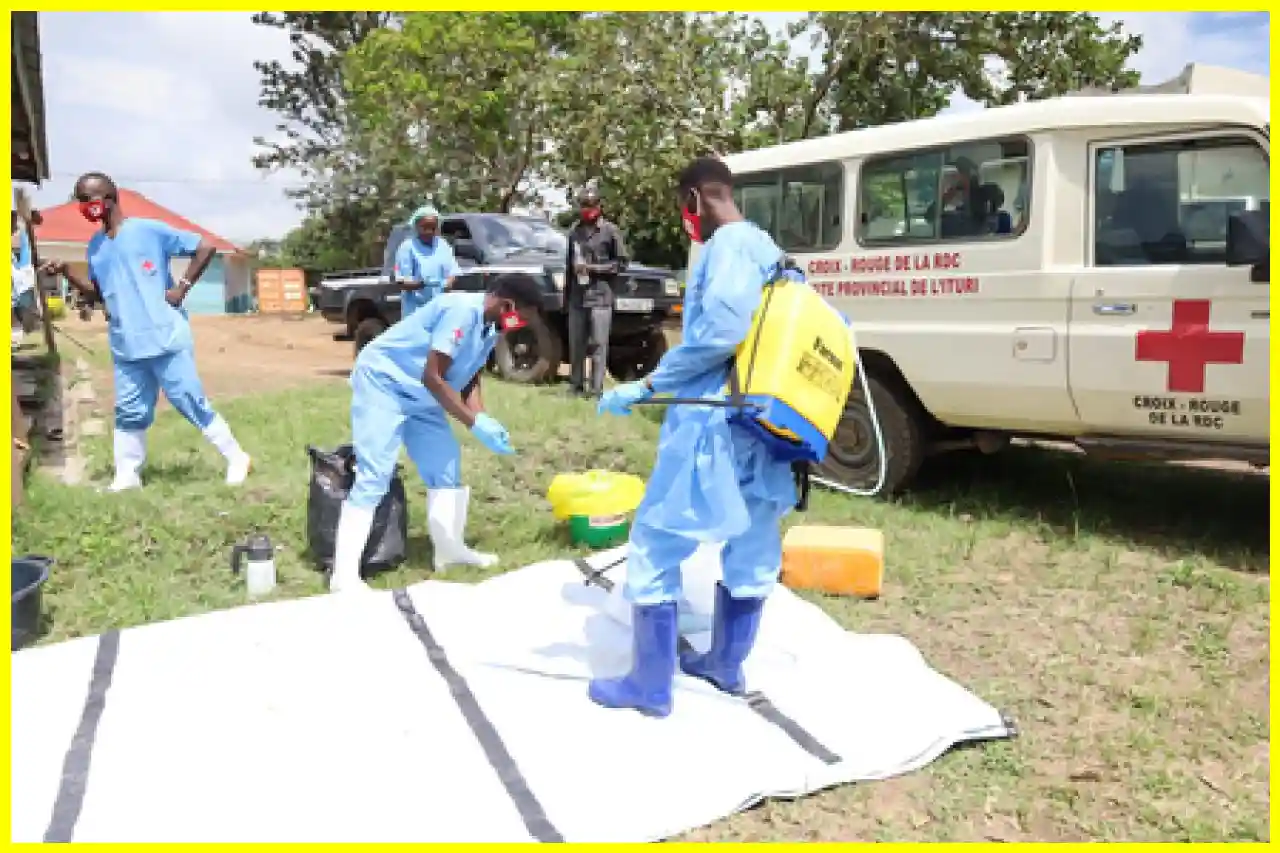 WHO Chief Urges Countries to Reconsider Travel Bans Amid Ebola Outbreak