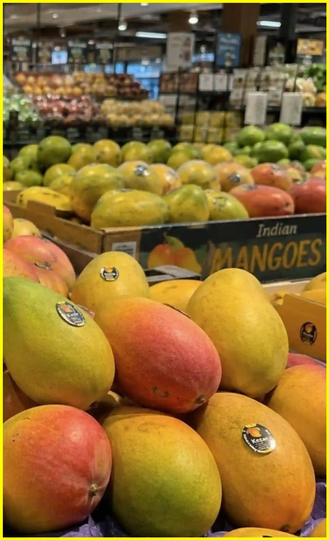 Indian Mango Craze Surges in the U.S. Market