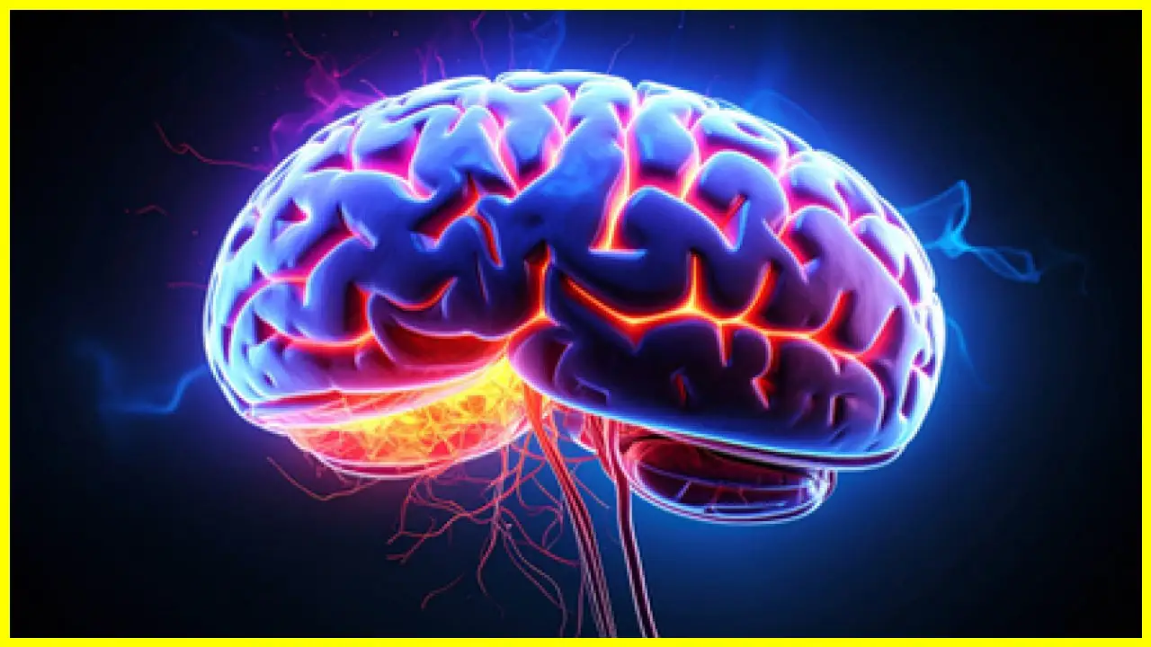 Rising Concerns for Multiple Sclerosis Patients in Pakistan Amidst High ...