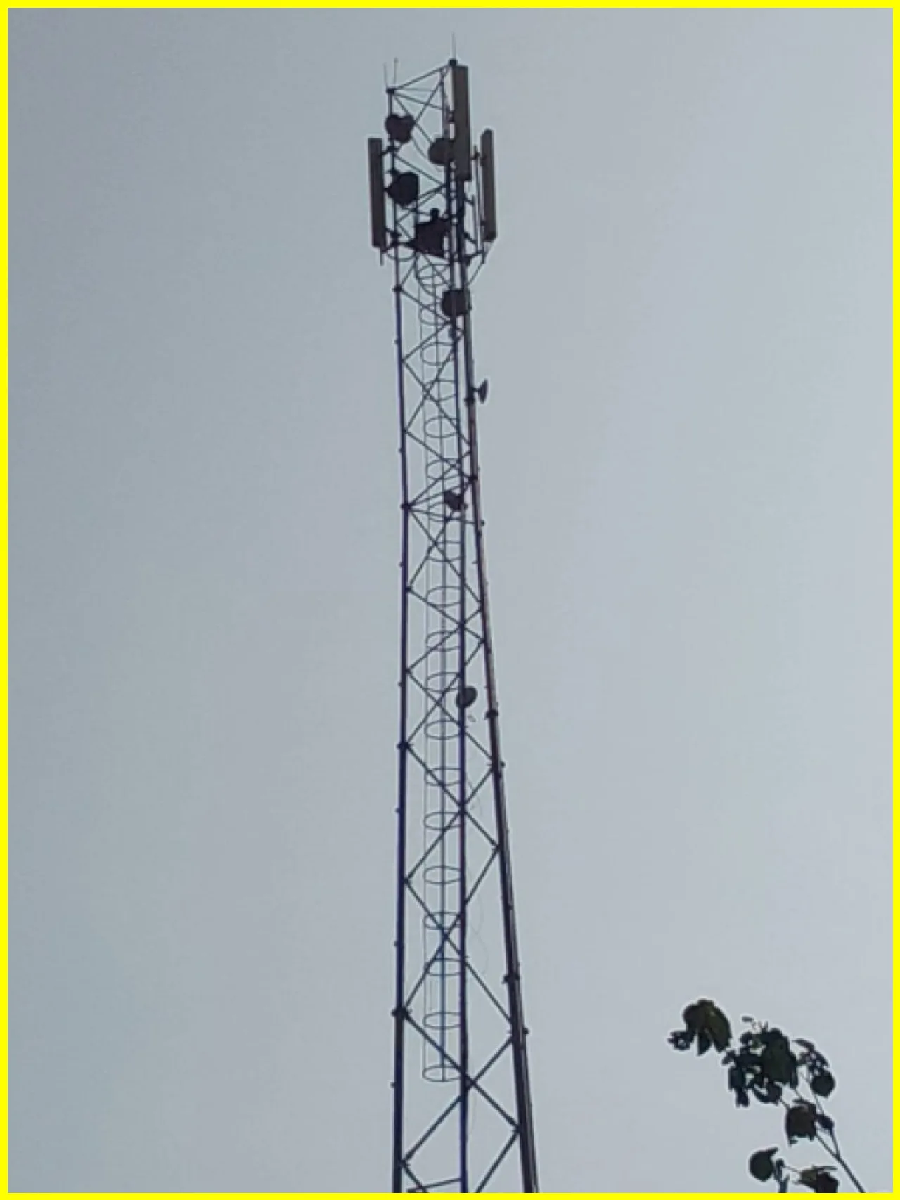 Youth Climbs Mobile Tower in Jharkhand, Marking 11th Incident in 25 Days